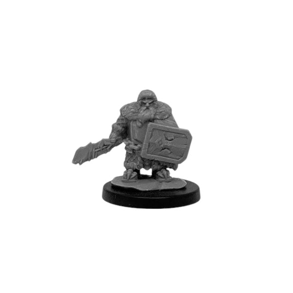 Frost Dwarf - Next Level Miniatures – RPG Mini Hunter