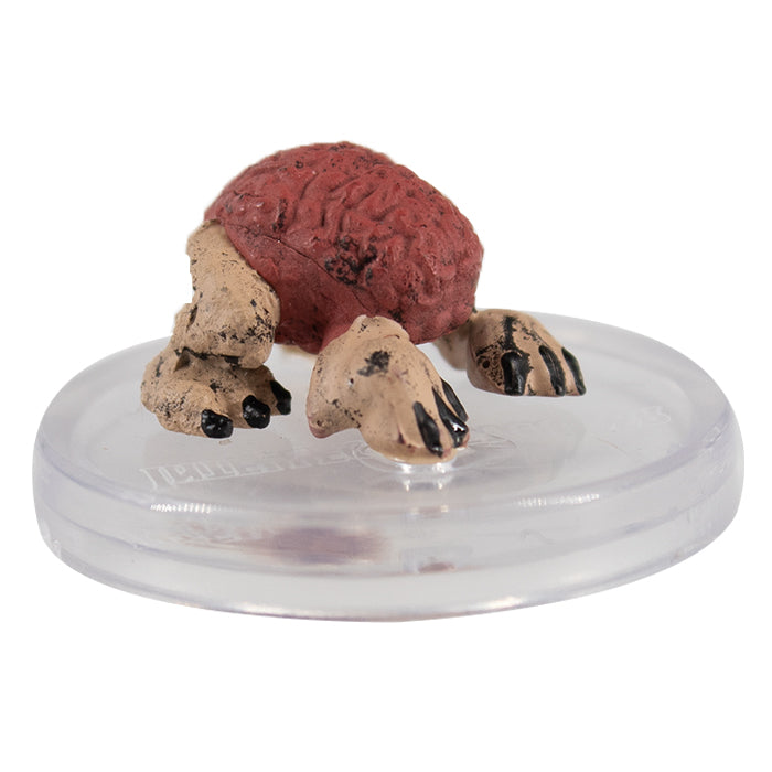 Intellect Devourer - Adventures from Baldur's Gate - #06 – RPG Mini Hunter