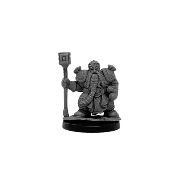 Dwarf Paladin- Next Level Miniatures: Dragon's Hoard Miniatures Vol. 1 ...