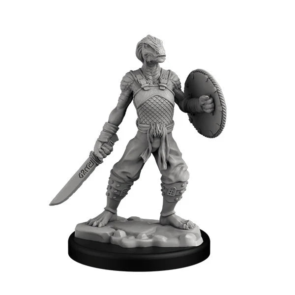 Dragonborn Fighter - Next Level Miniatures – RPG Mini Hunter