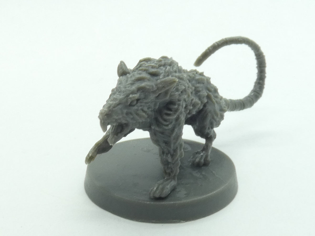 Blacklist Miniatures: Fantasy Series 1: Giant Rat – RPG Mini Hunter