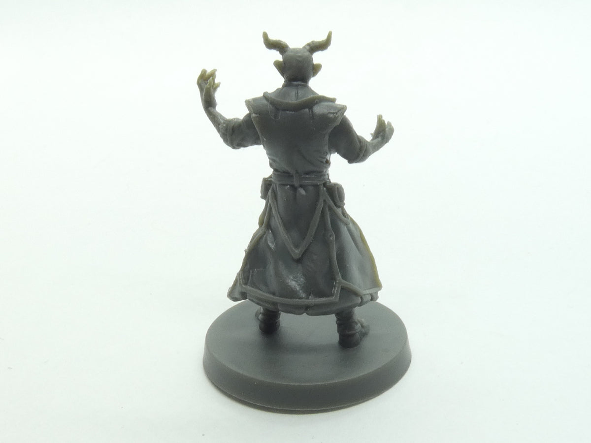 Blacklist Miniatures: Fantasy Series 1: Male Demonkin Sorcerer – RPG ...