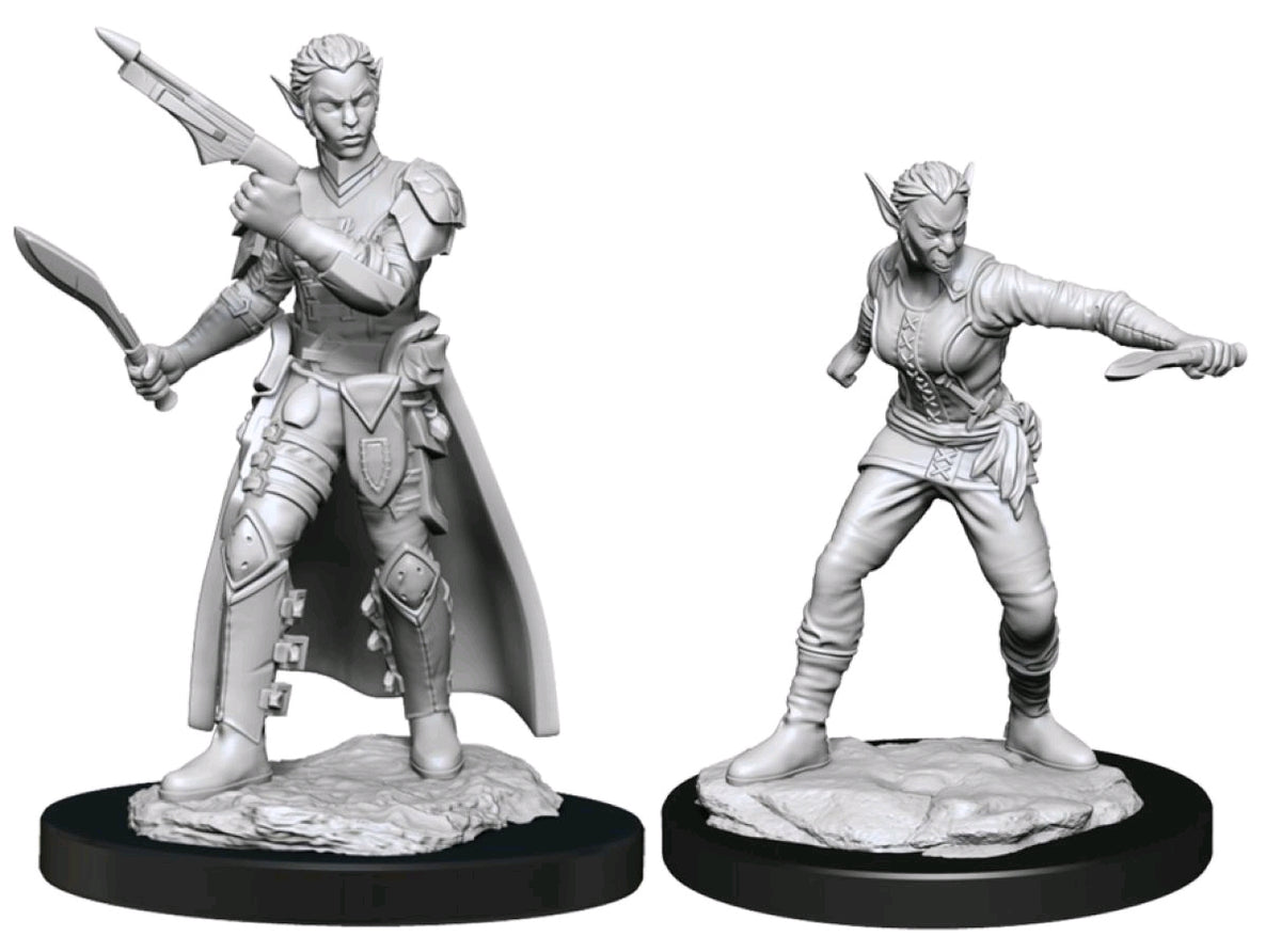 D&D Nolzur's Marvelous Miniatures - Shifter Rogue - Unpainted – RPG ...