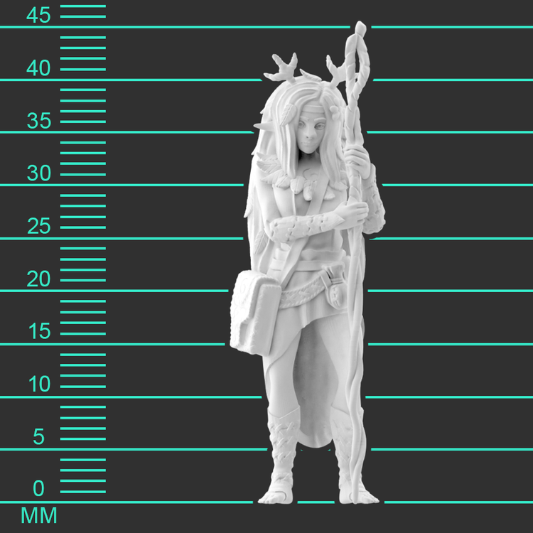 Krakenships Forest Guardian (Firbolg) Female Druid - Unpainted – RPG ...