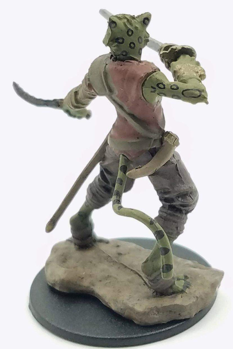 Icons of the Realms: D&D Premium Miniatures Wave 6: Tabaxi Rogue - Mal ...